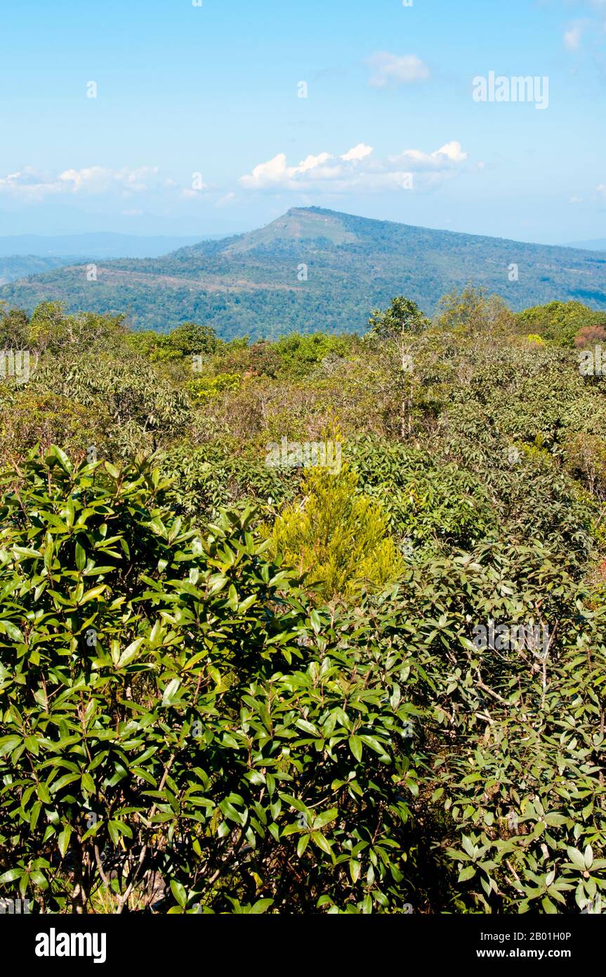 Thailand: View from the summit of Phu Luang Wildlife Sanctuary, Loei ...