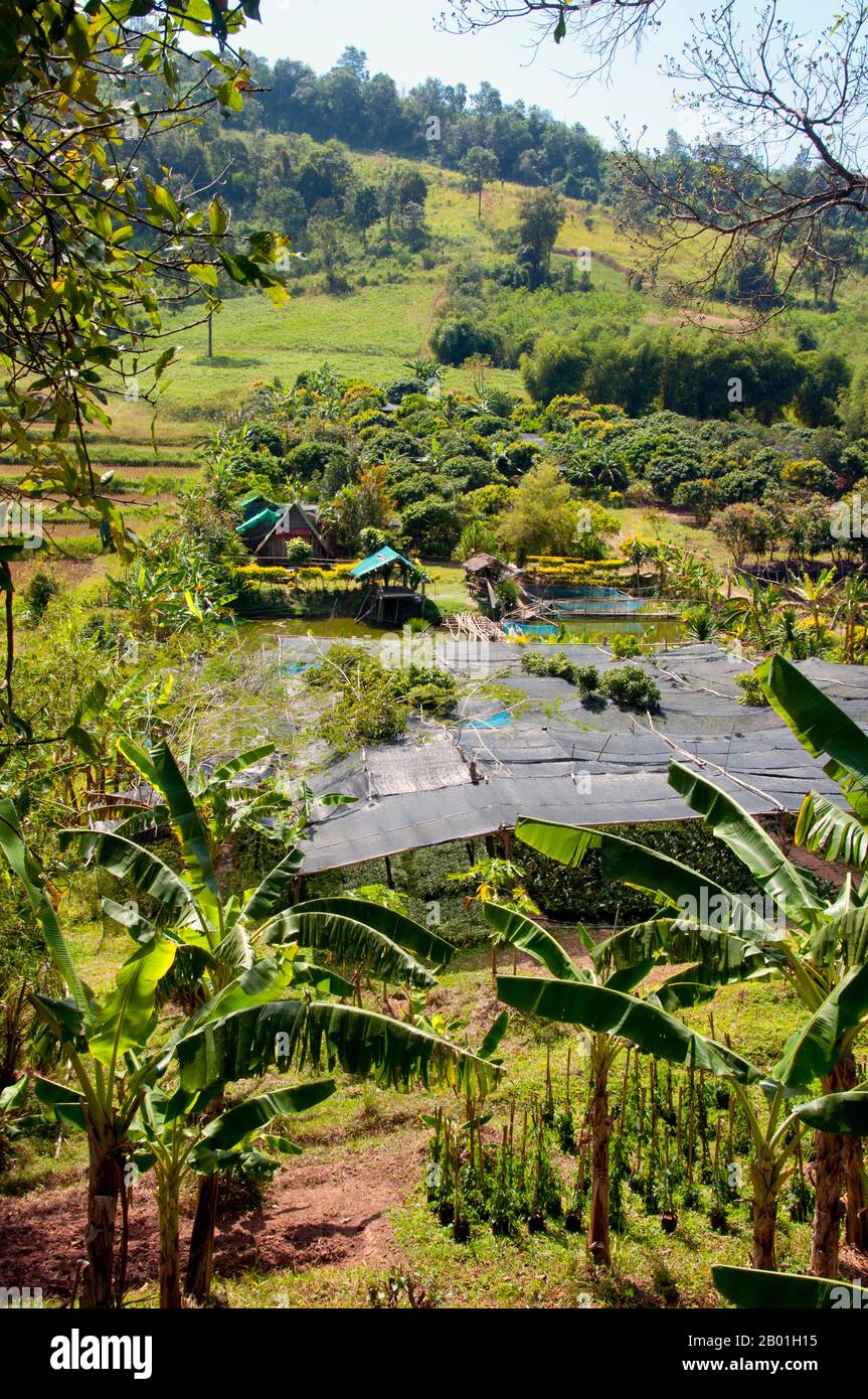 Thailand: Ban Nong Bong Cold Climate Flowers Market, Phu Ruea, Loei ...