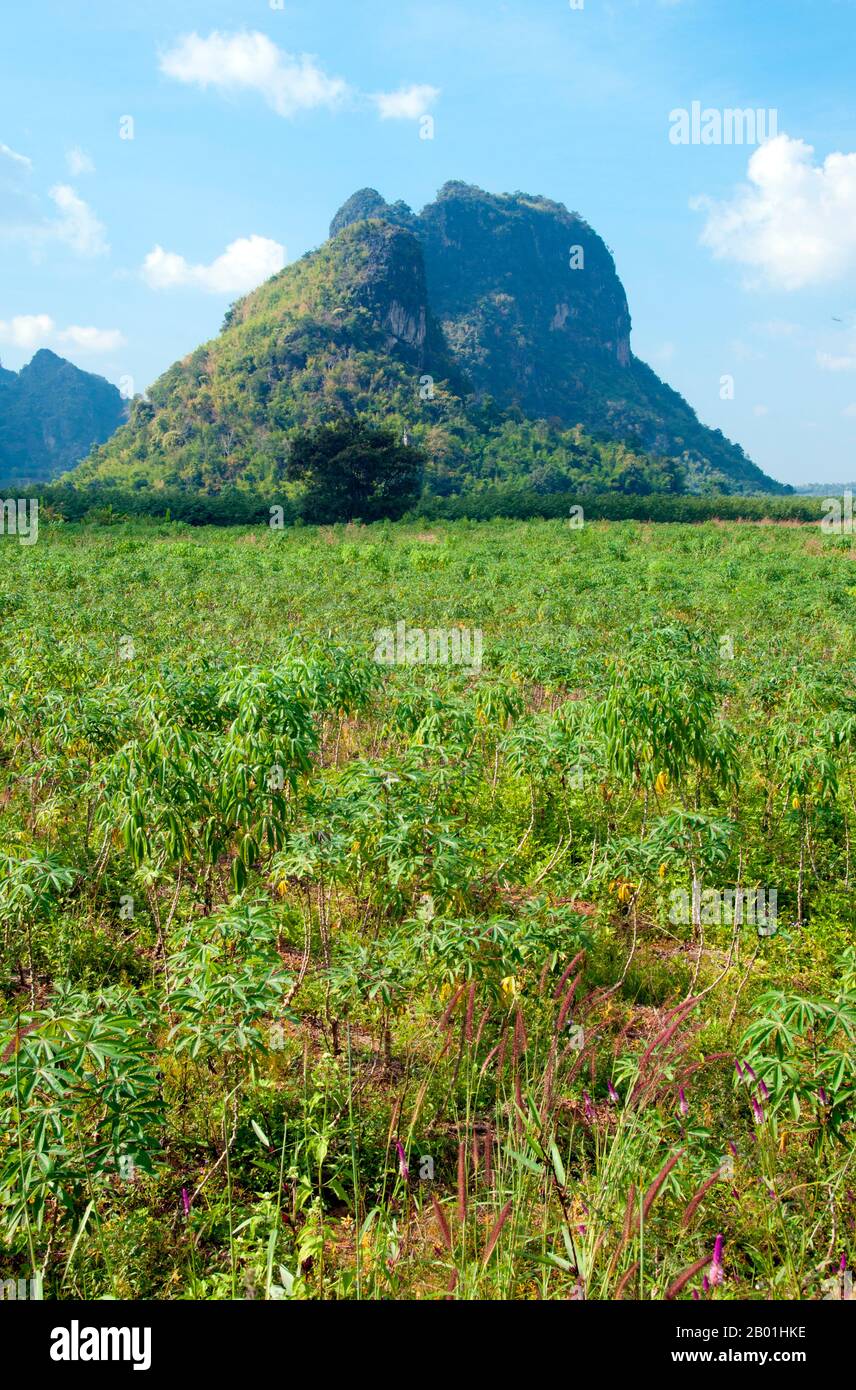 Thailand: Kuan Pha Lom National Park, Loei Province. Loei Province is ...