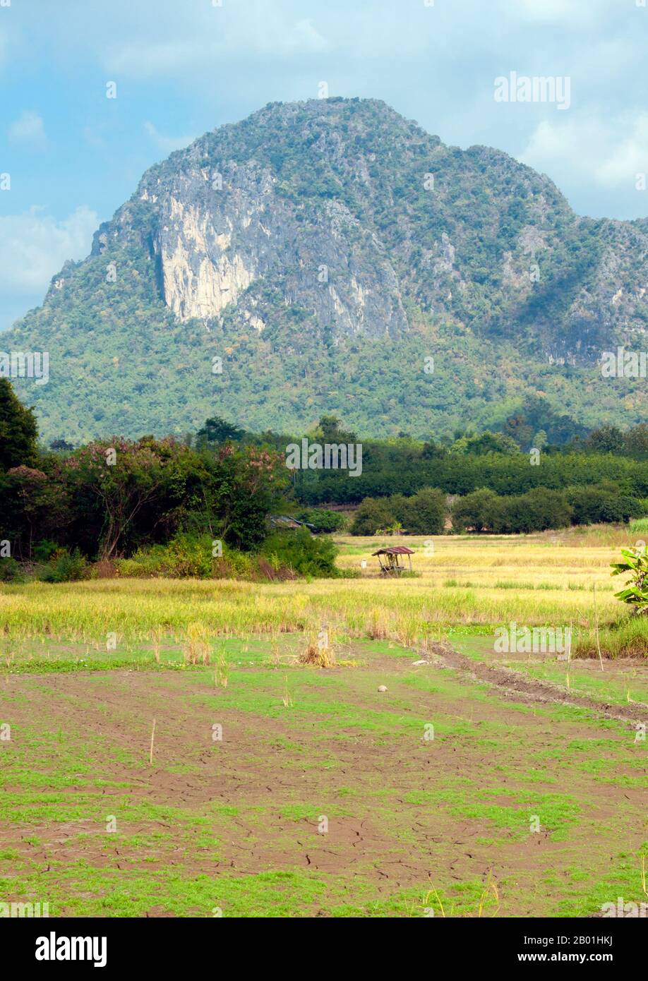 Thailand: Fields ready for planting in Kuan Pha Lom National Park, Loei ...
