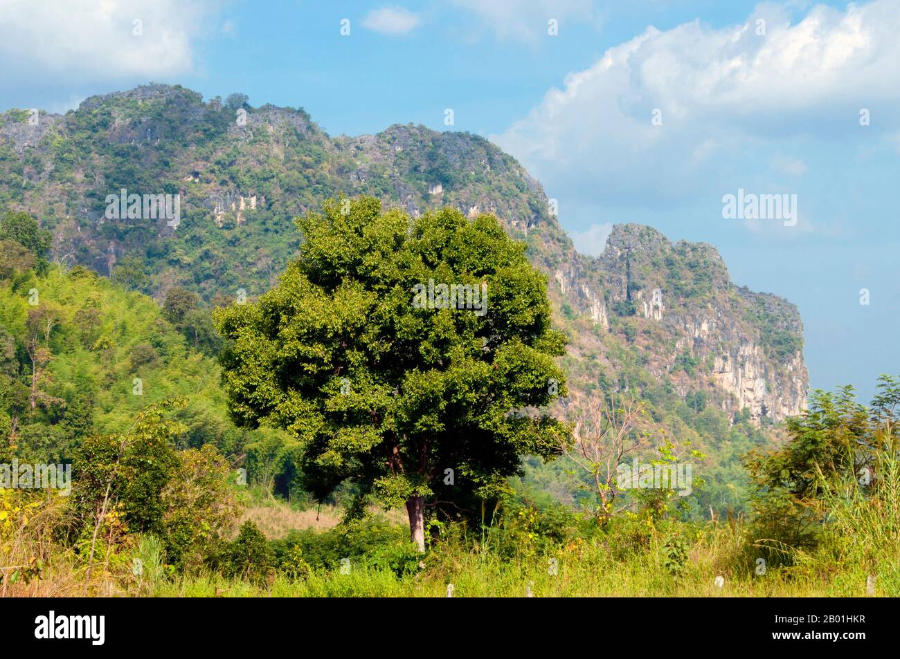 Thailand: Kuan Pha Lom National Park, Loei Province. Loei Province is ...
