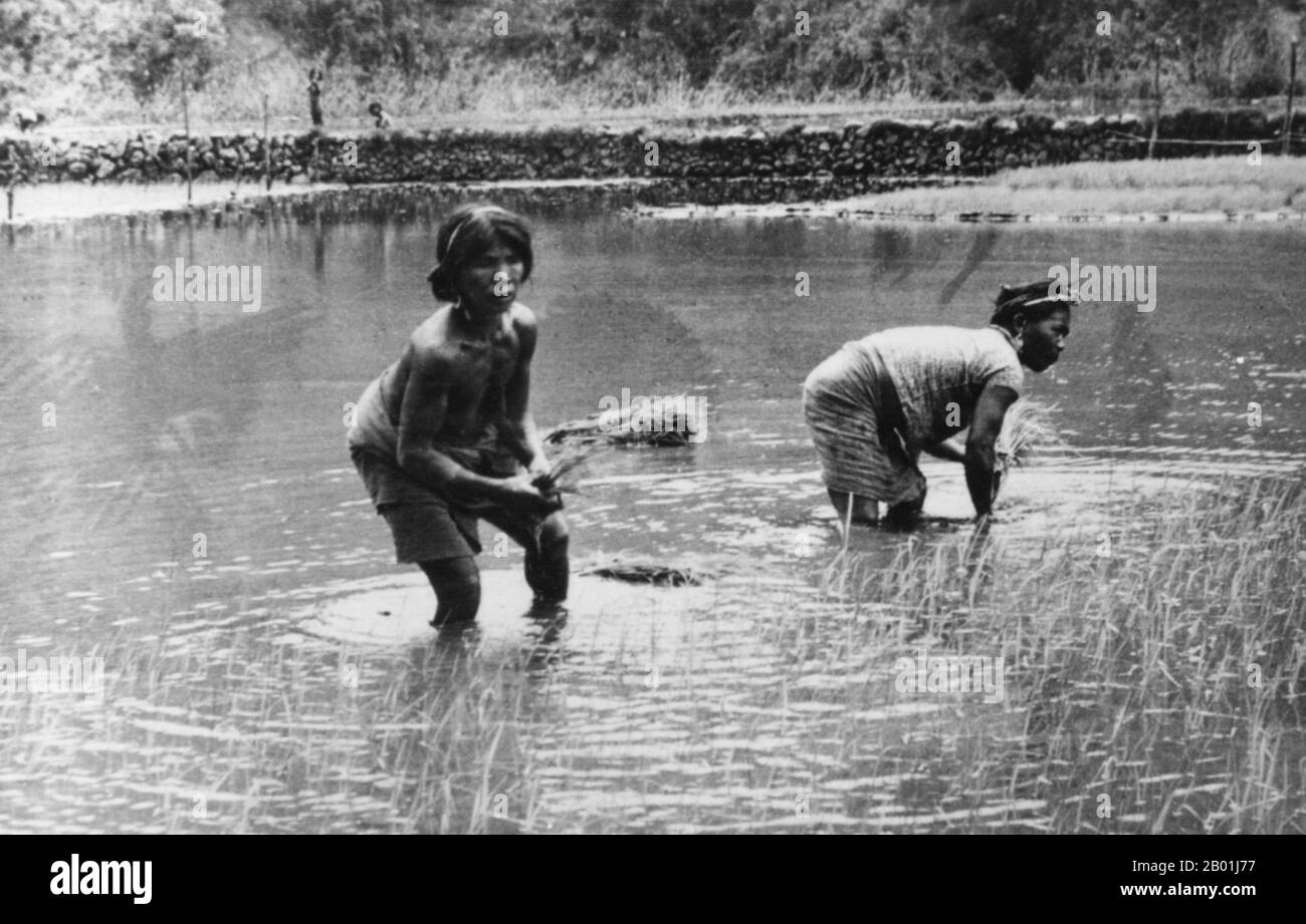 Ifugao rice Black and White Stock Photos & Images - Alamy