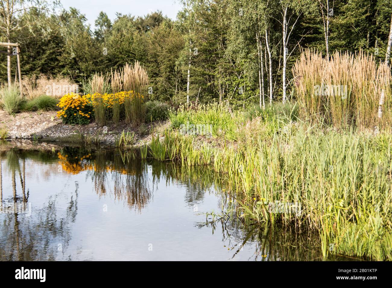 Bank reinforcement hi-res stock photography and images - Alamy
