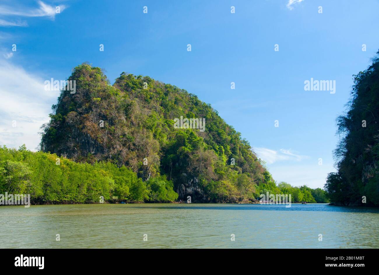 Thailand: Mangroves, near Krabi Town and Ko Klang, Krabi Province. The ...