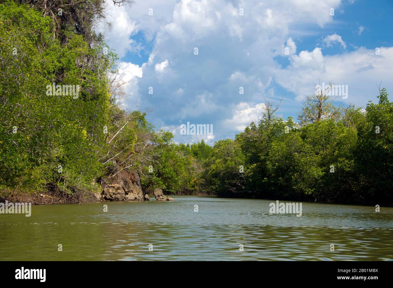 Thailand: Mangroves, waterways and streams near Krabi Town and Ko Klang ...