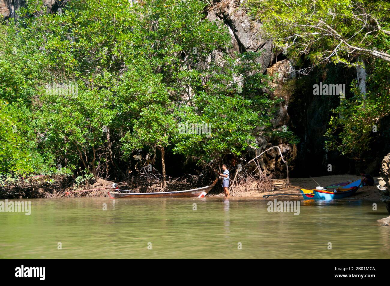 Thailand: Fishing in the mangroves near Krabi Town and Ko Klang, Krabi ...