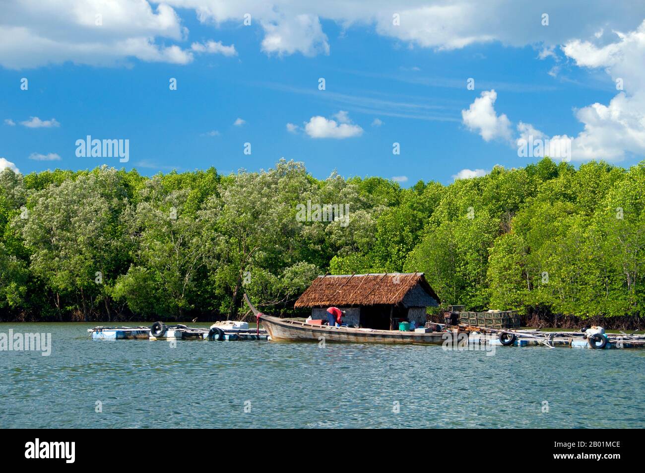 Thailand: Mangroves with floating fishing farms, near Krabi Town and Ko ...