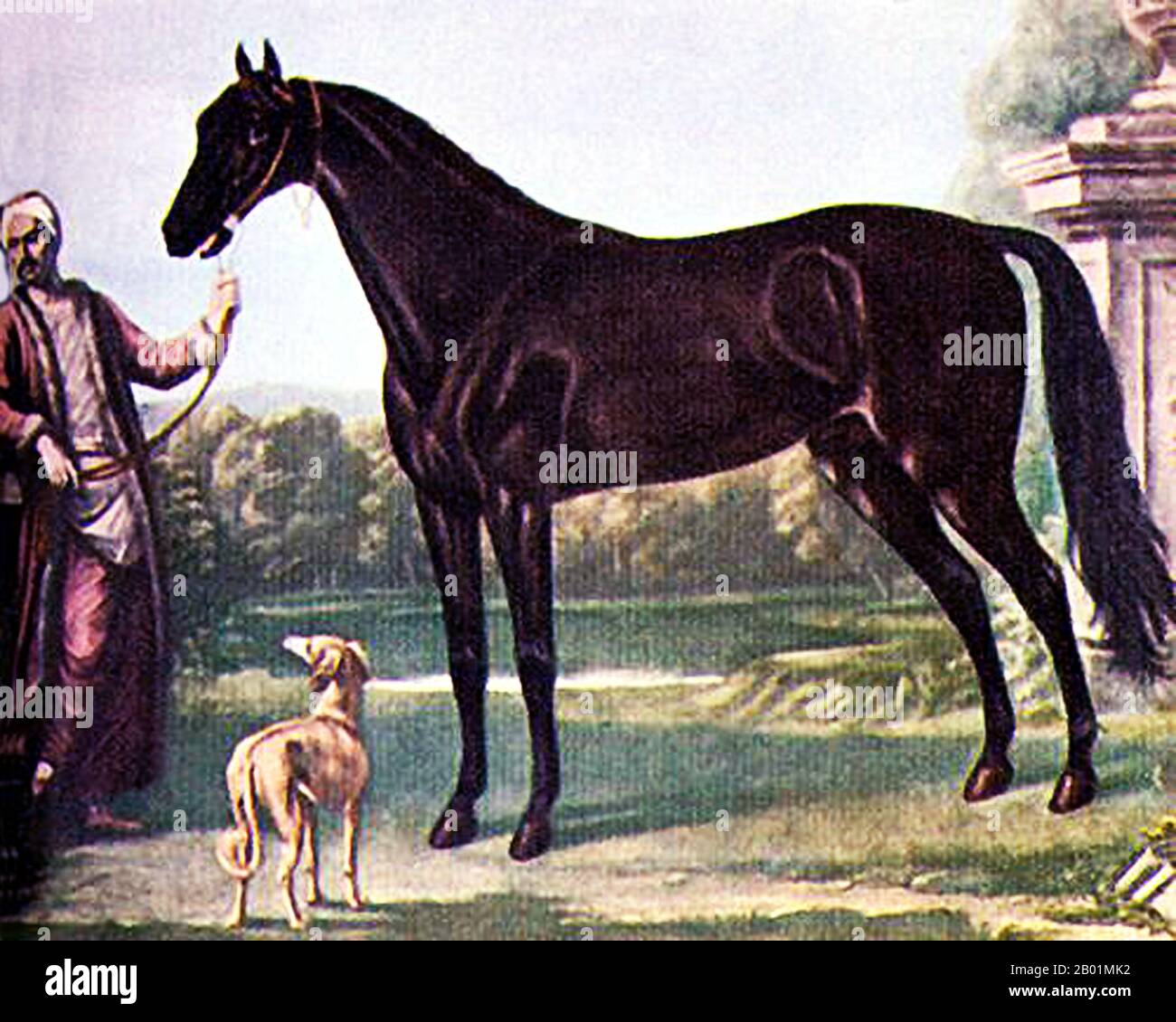 Darley arabian horse hi-res stock photography and images - Alamy