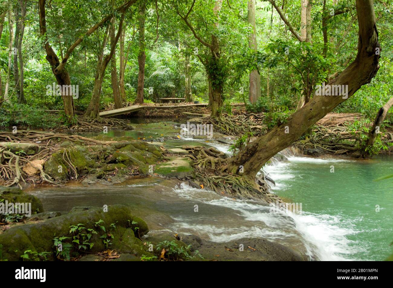 Tham than lot national park hi-res stock photography and images - Alamy