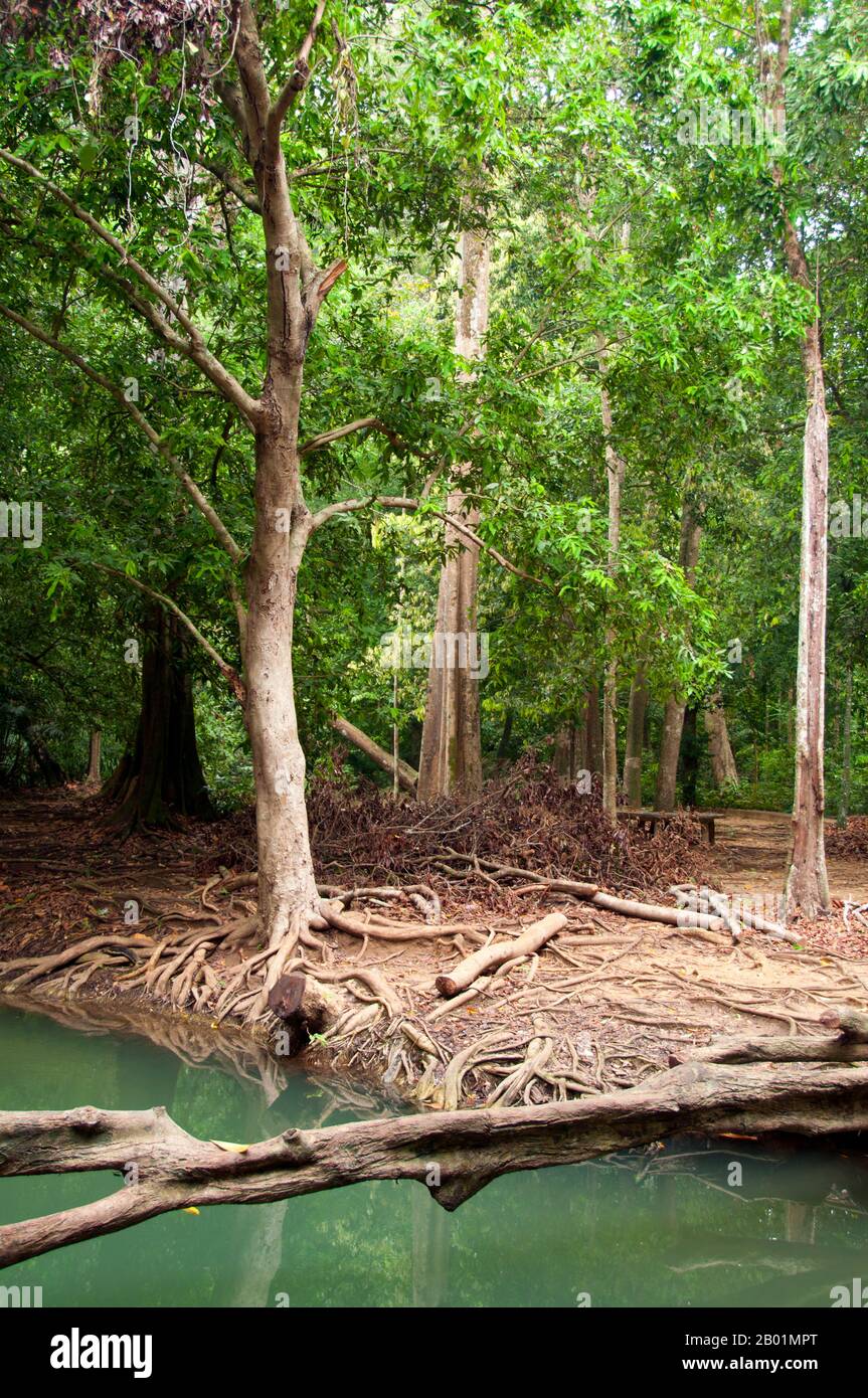 Than bok khorani national park thailand images hi-res stock photography ...