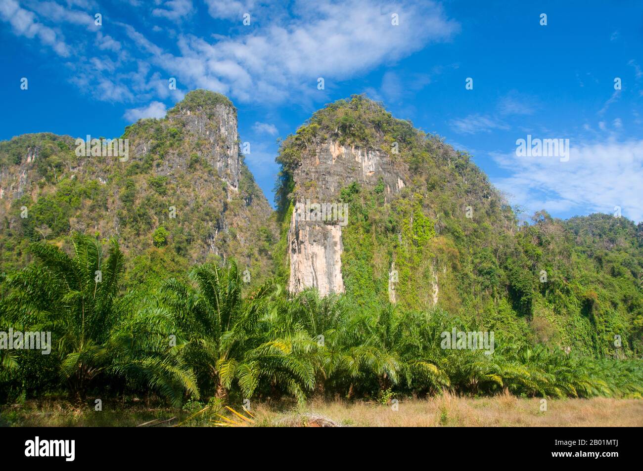Yala and pattani hi-res stock photography and images - Alamy