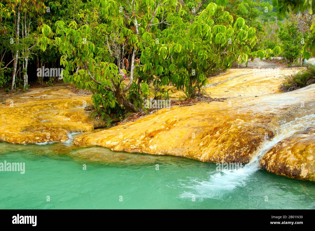 Thailand: Sra Morakot (Emerald Pool), Tung Tieo Forest Trail, Khao Pra ...