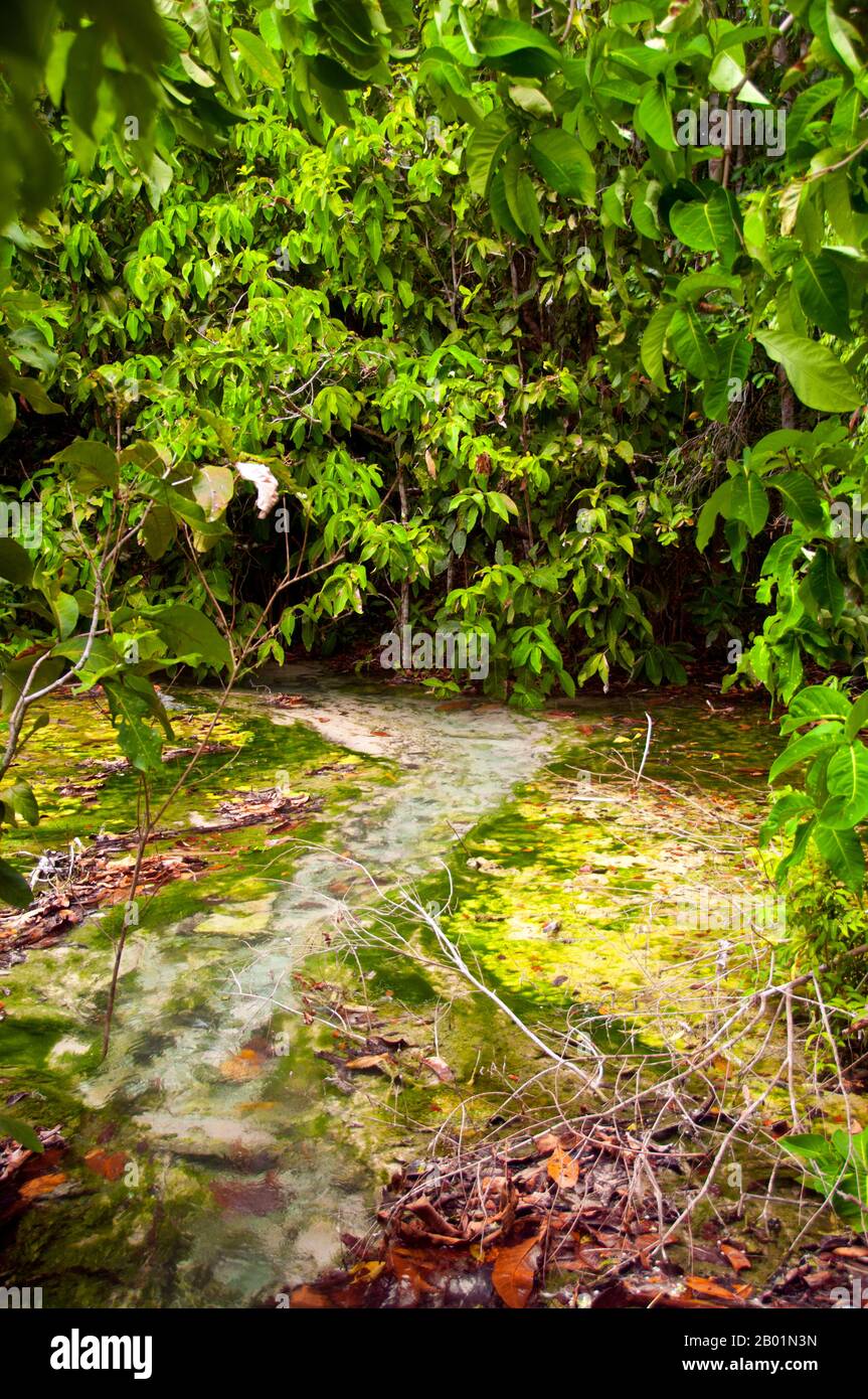 Thailand: Tung Tieo Forest Trail, Khao Pra - Bang Khram Wildlife ...