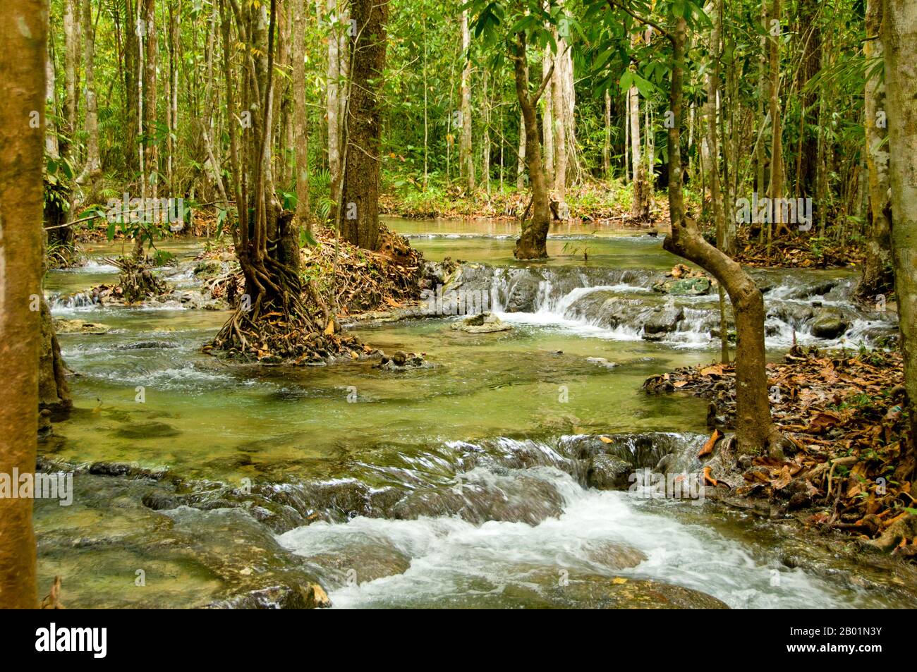 Thailand: Tung Tieo Forest Trail, Khao Pra - Bang Khram Wildlife ...