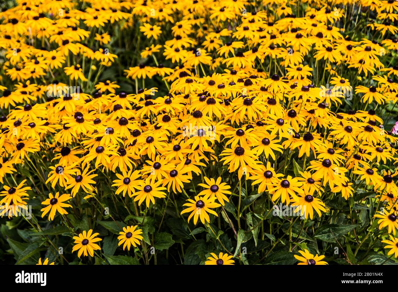 Ordinary sun hat hi-res stock photography and images - Alamy
