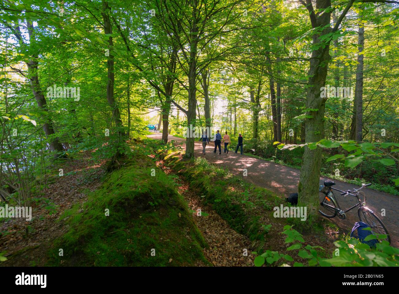 Hedgerow path hi-res stock photography and images - Alamy