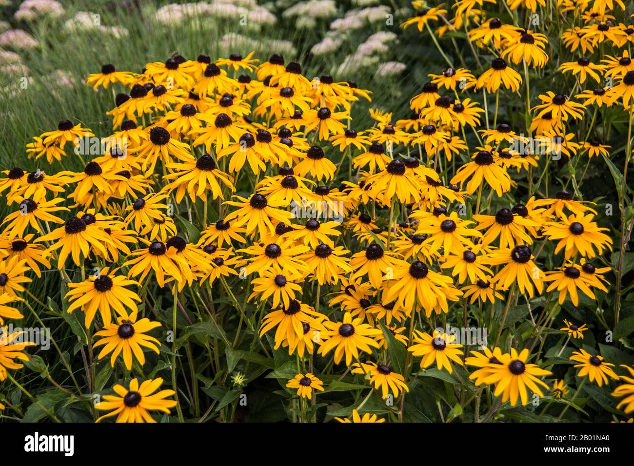 Ordinary sun hat hi-res stock photography and images - Alamy