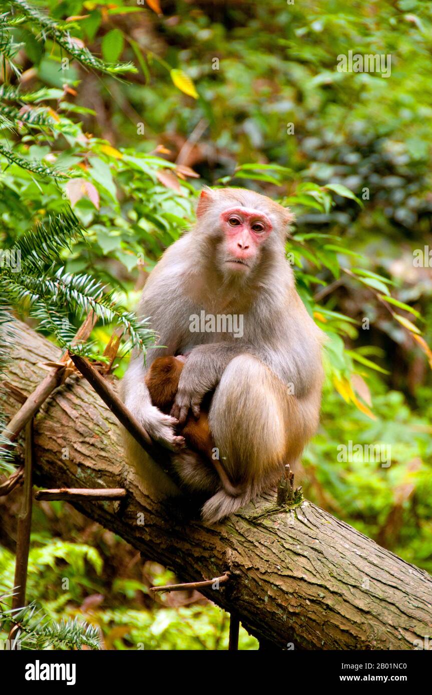 1 9 12 7 cm hi-res stock photography and images - Alamy