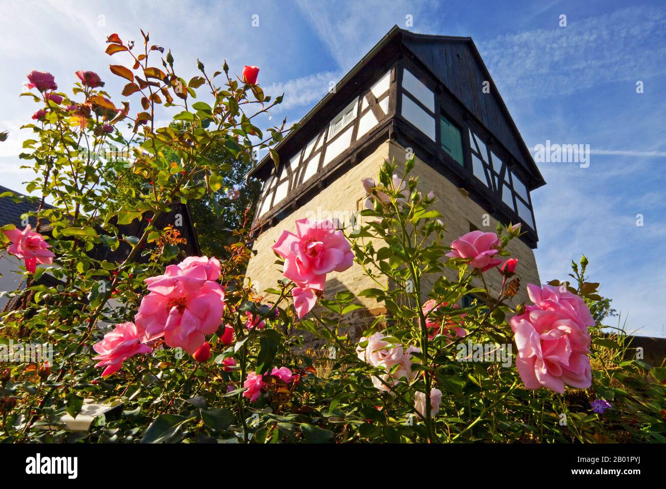 Rose house hi-res stock photography and images - Alamy