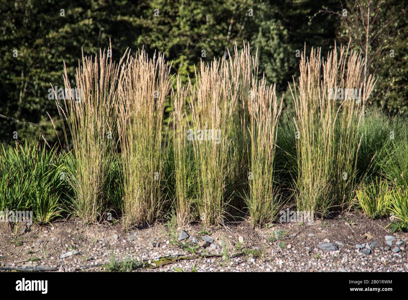 Bank stabilization hi-res stock photography and images - Alamy