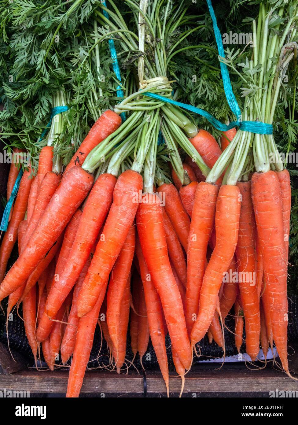 Display of Bunched Carrots Stock Photo - Alamy