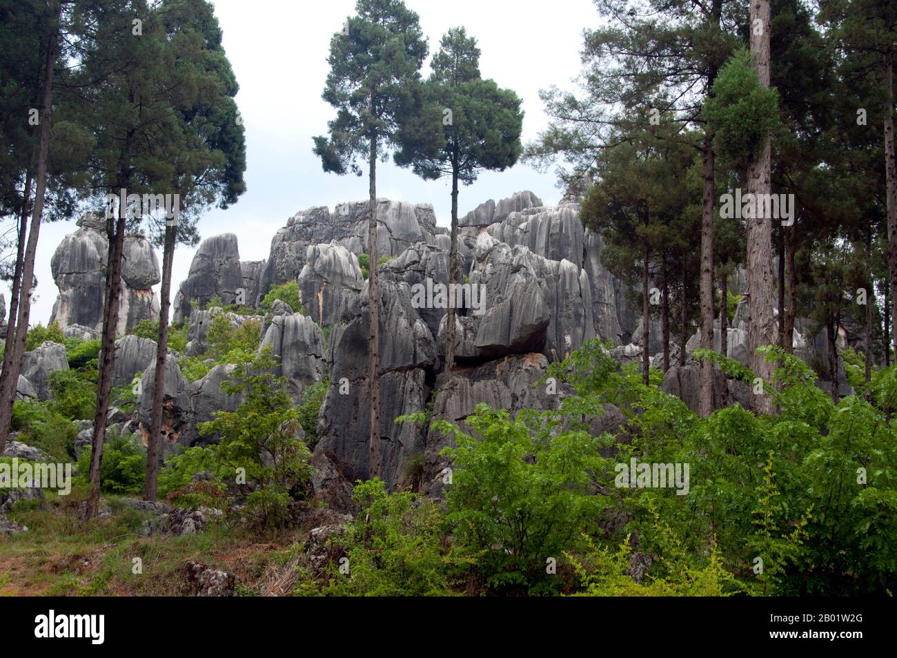 Worlds largest maze hi-res stock photography and images - Alamy
