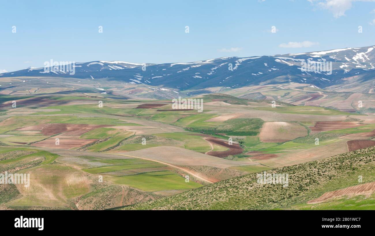 Green fields in desert valley hi-res stock photography and images - Alamy