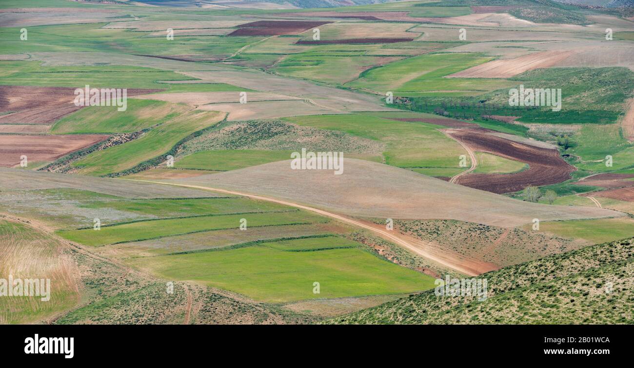 Green fields in desert valley hi-res stock photography and images - Alamy