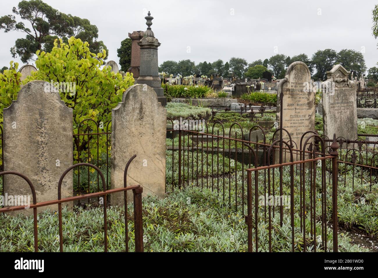 Melbourne General Cemetery on a rainy summer's day in Melbourne ...