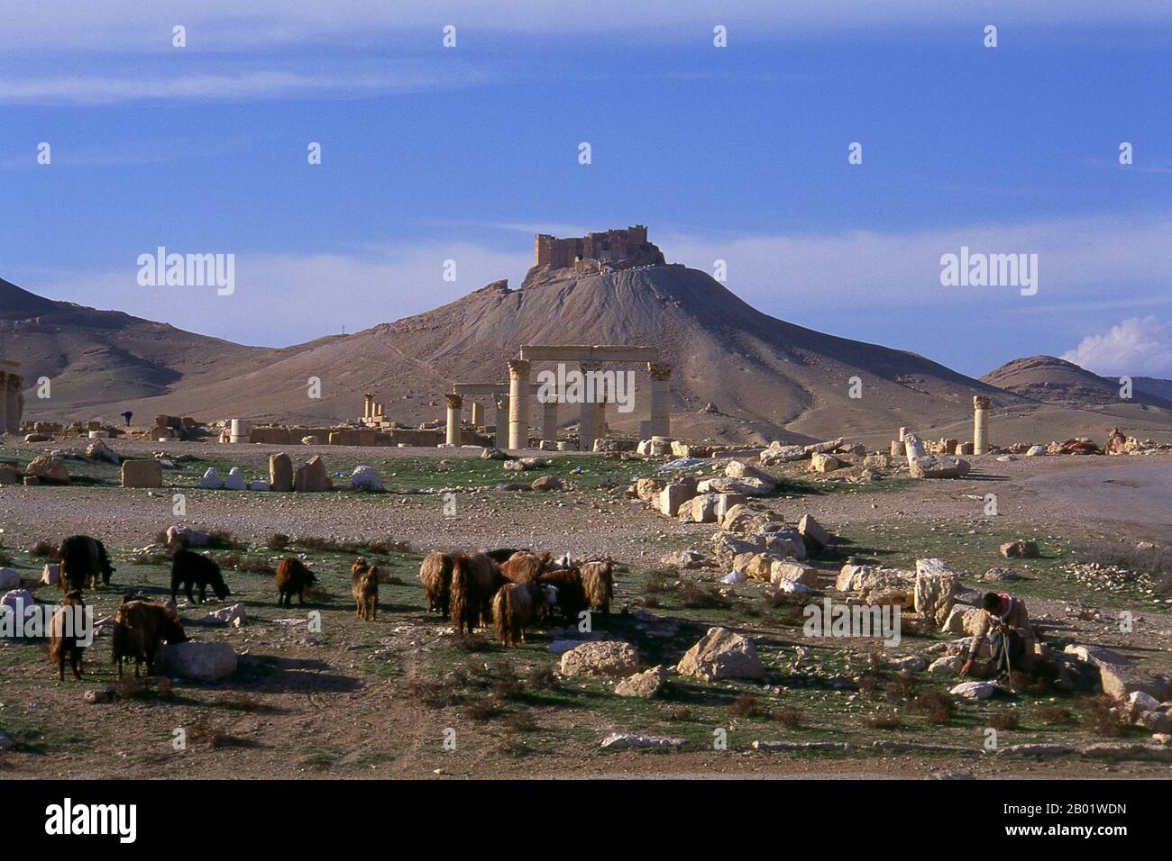 Arab caravan 13th century hi-res stock photography and images - Alamy