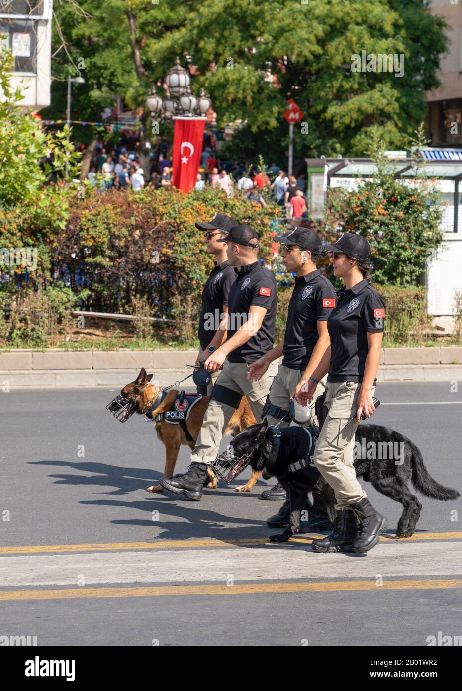 K9 uniform hi-res stock photography and images - Alamy