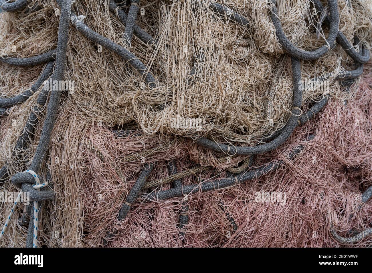 Pink fish net hi-res stock photography and images - Alamy