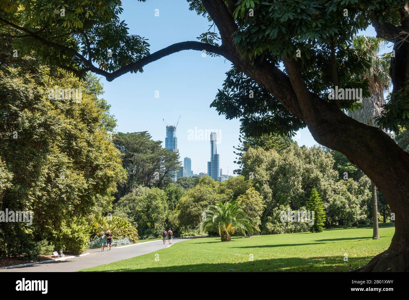 Royal botanic gardens melbourne hi-res stock photography and images - Alamy