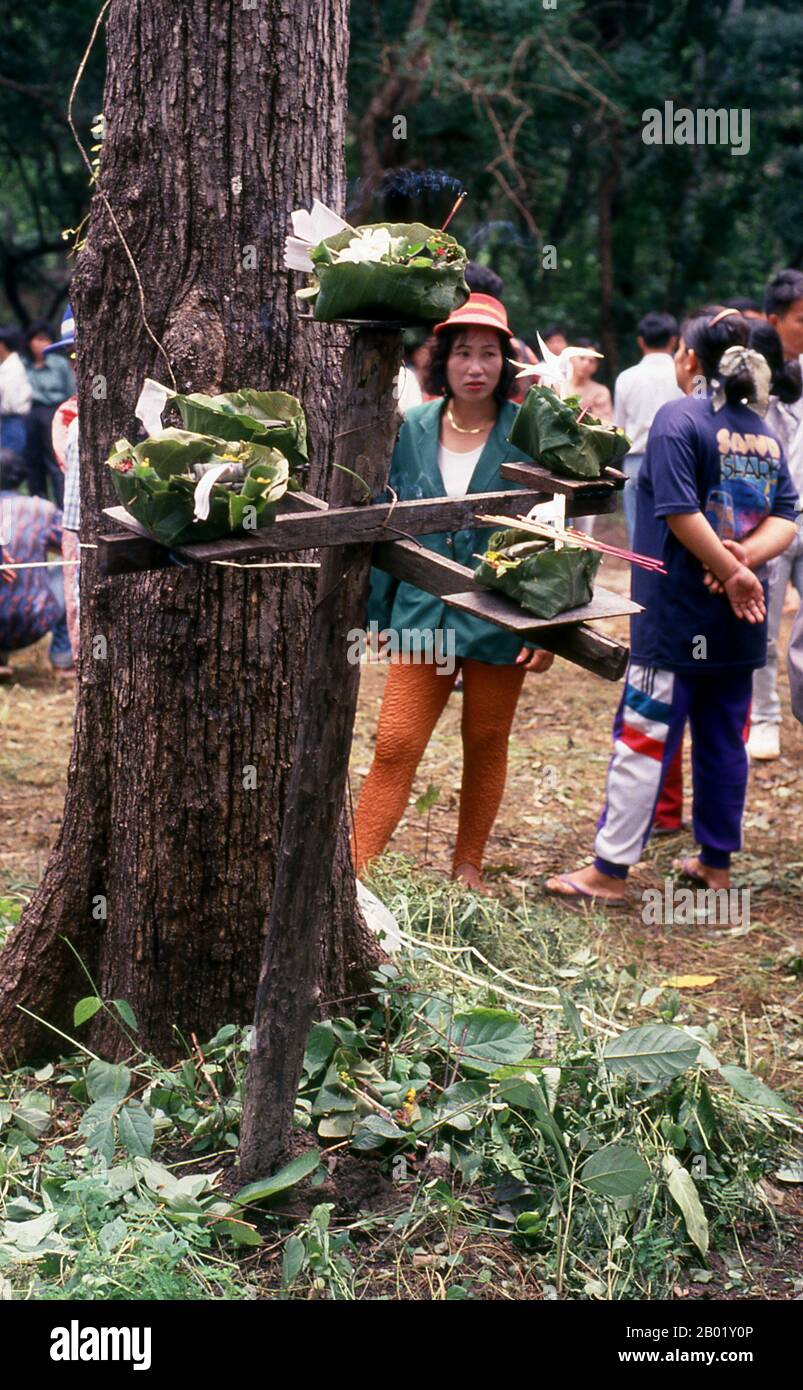 Thailand: Buffalo meat offerings at a split bamboo spirit stand, Pu Sae ...