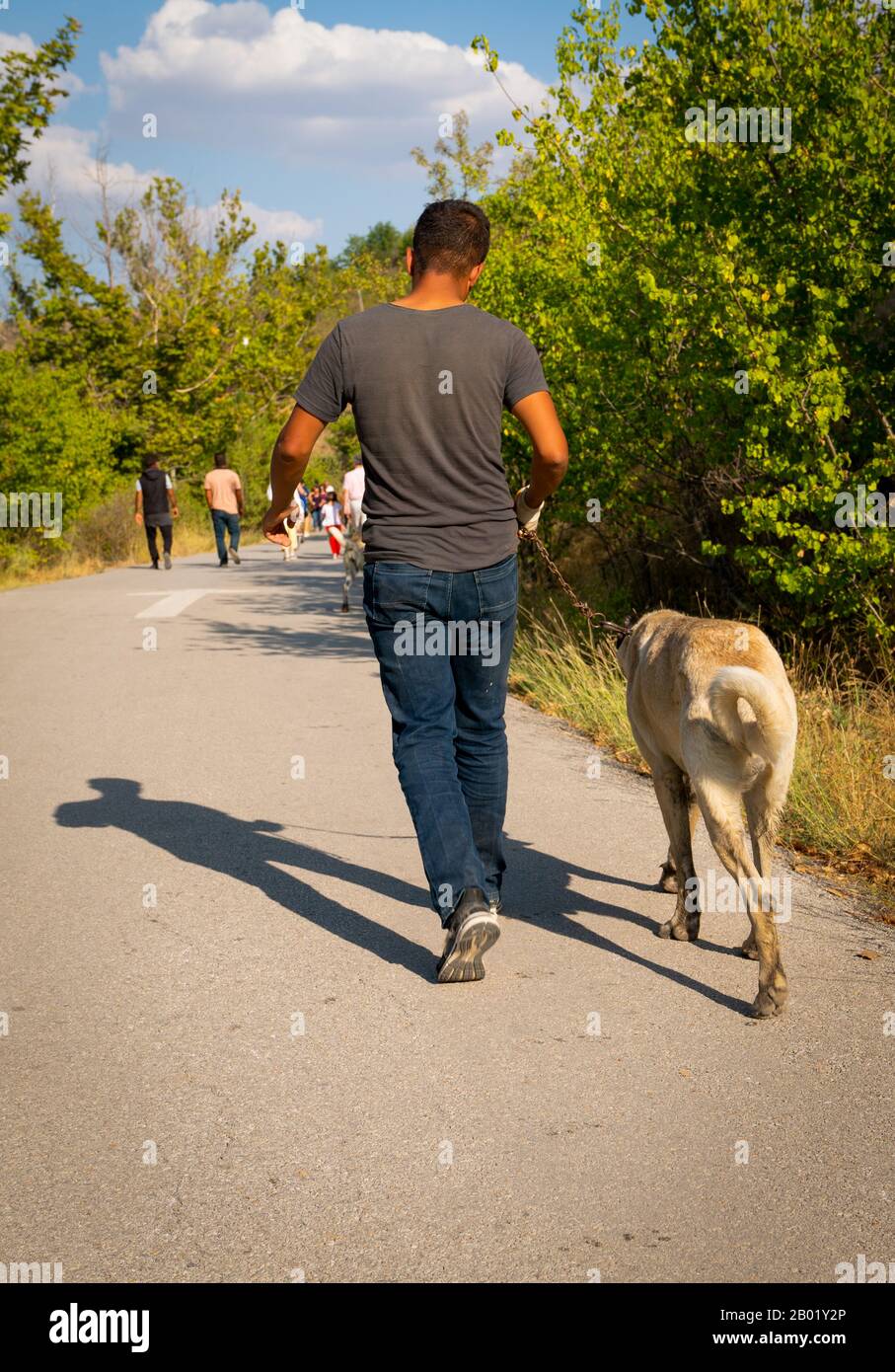 Boy with puppy walker hi-res stock photography and images - Alamy
