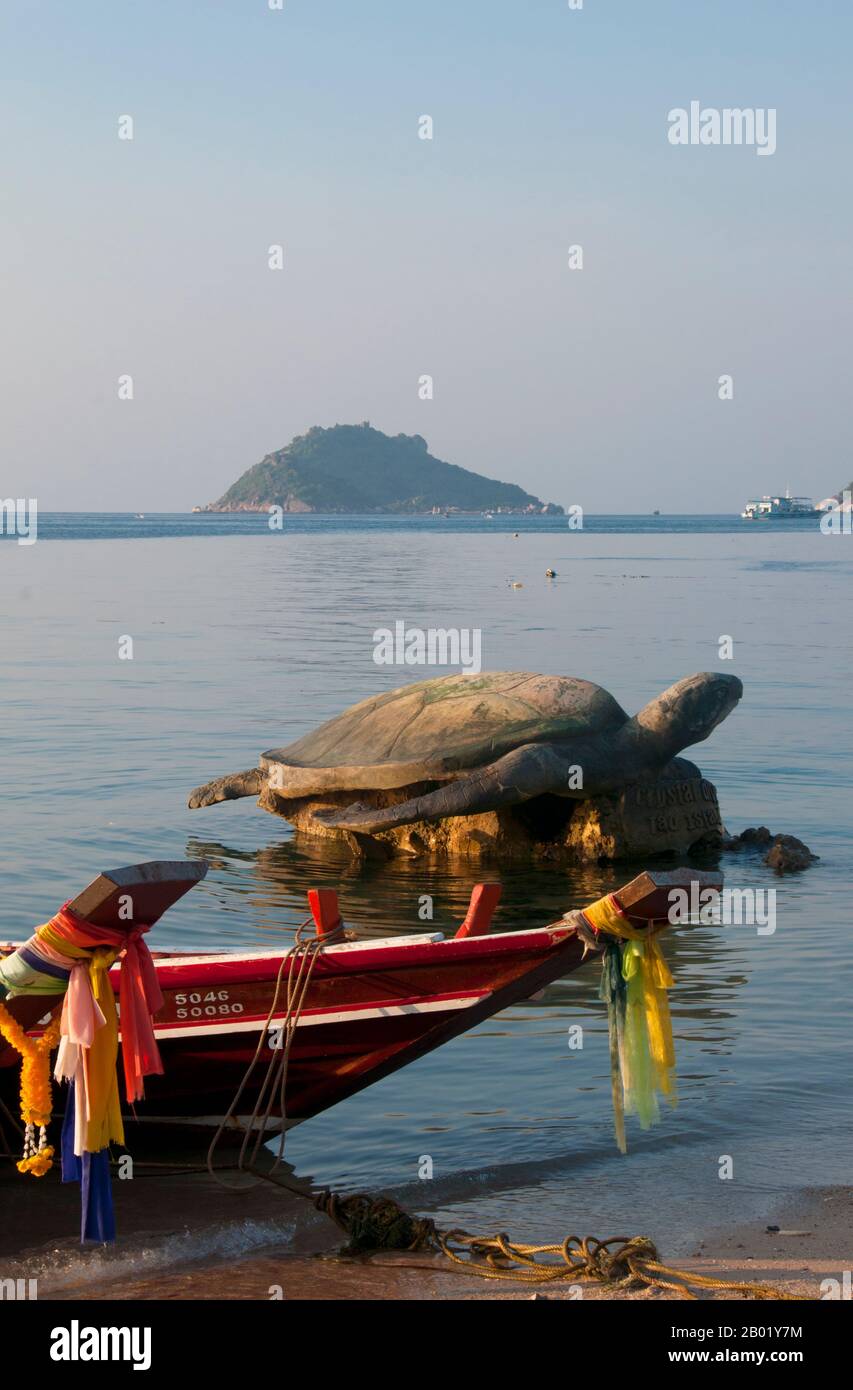 Gulf of thailand turtle High Resolution Stock Photography and Images ...