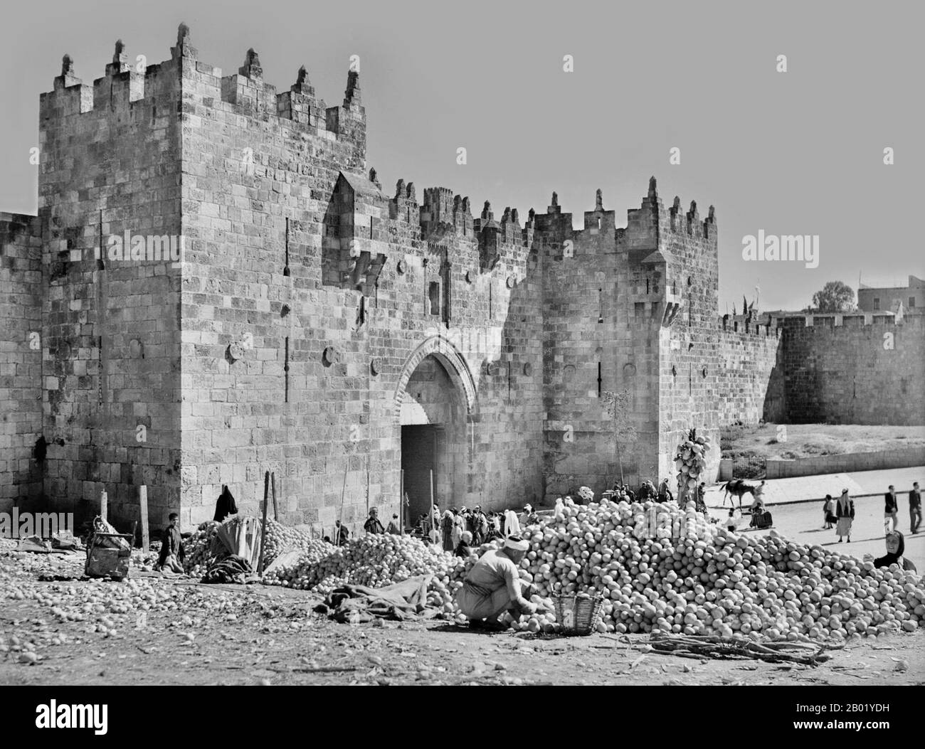 Palestine: A Palestinian man selling piles of oranges at Jerusalem's ...