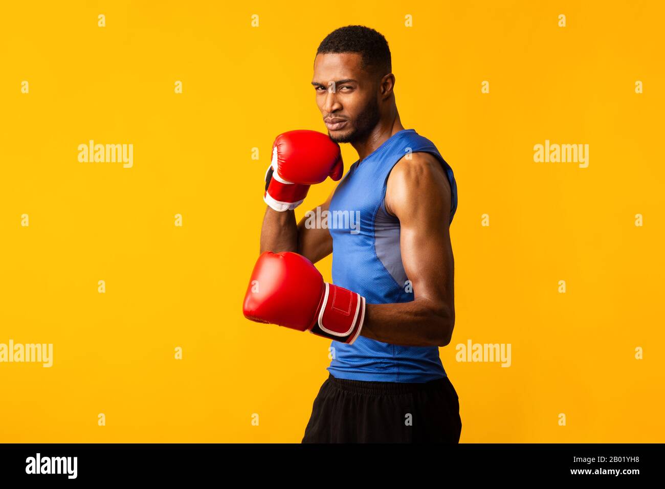 Confident afro fighter demonstrating classical boxing stance Stock ...