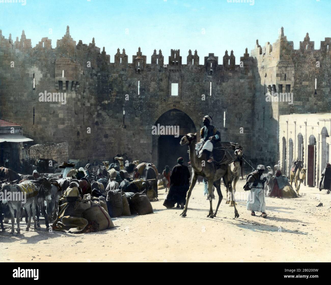 Palestine: A mule pack train outside the Damascus Gate, Jerusalem, c ...