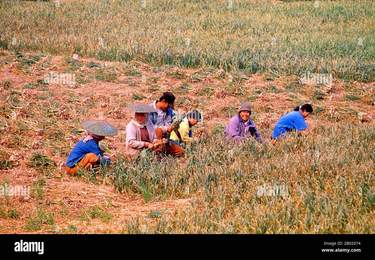 Who have migrated from thailand hi-res stock photography and images - Alamy