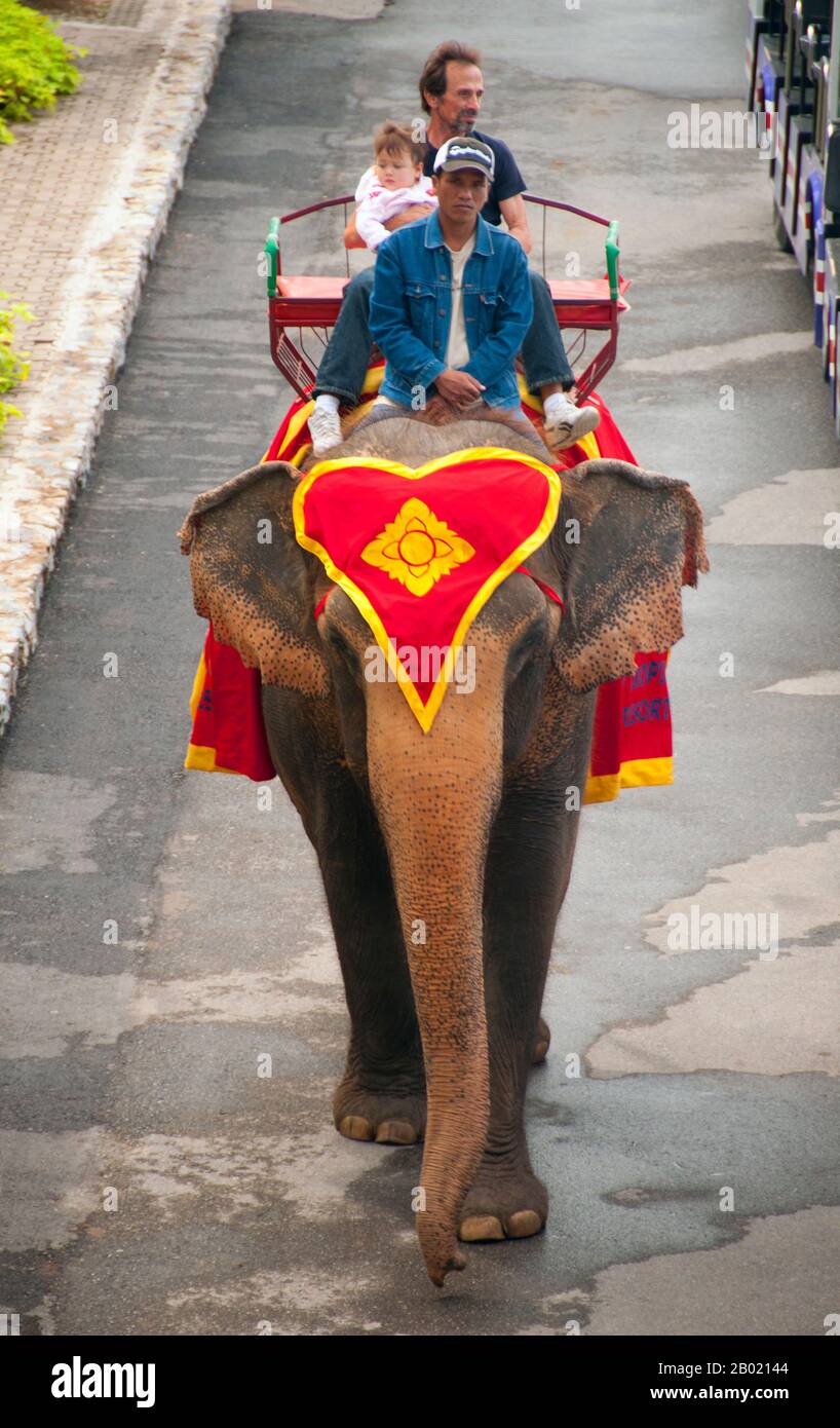Thailand: Tourists and mahout ride an elephant at Nong Nooch Village ...