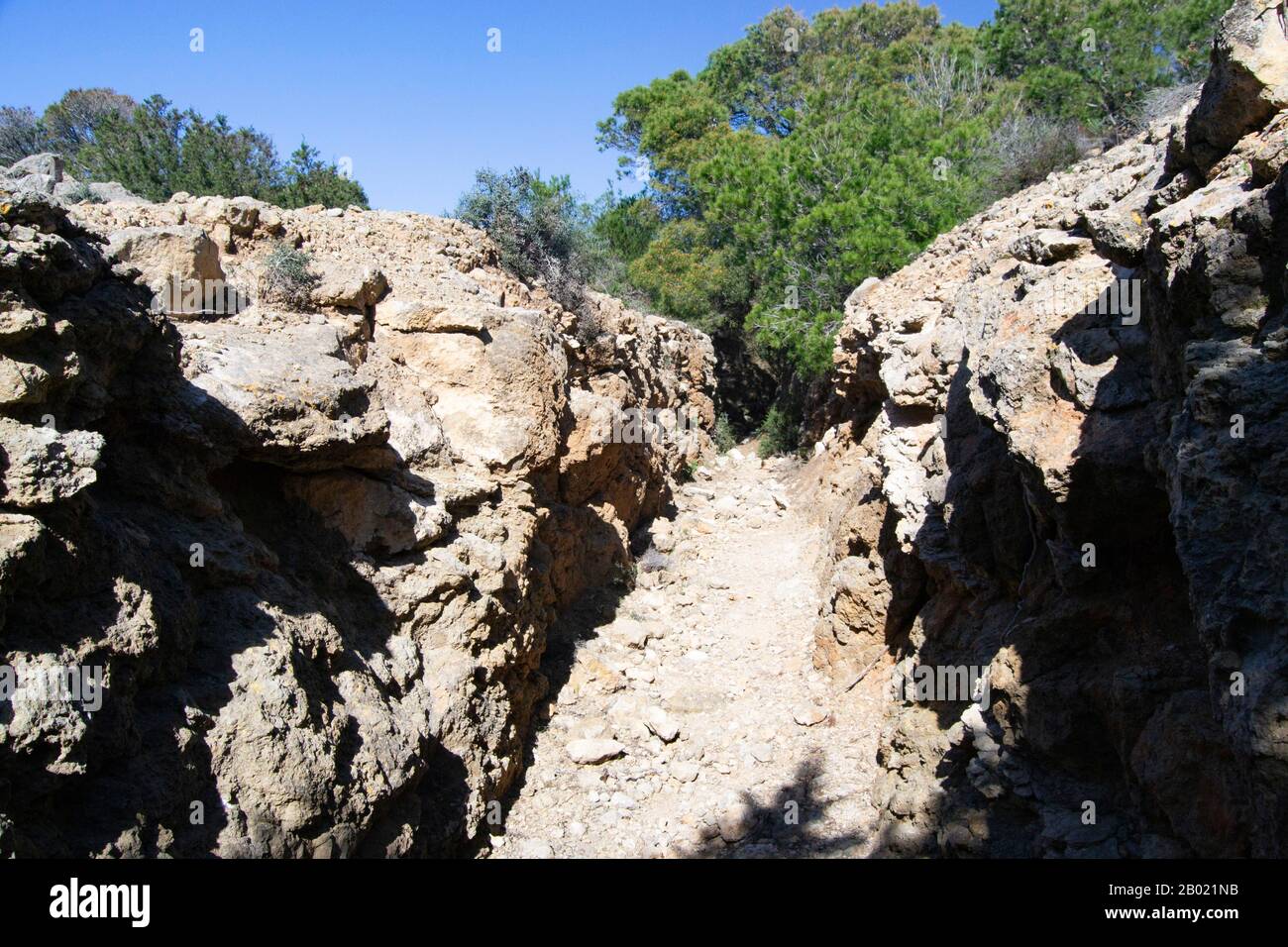 Abandoned trench hi-res stock photography and images - Alamy