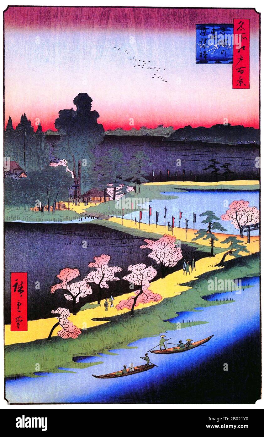 Entwined trees hi-res stock photography and images - Alamy