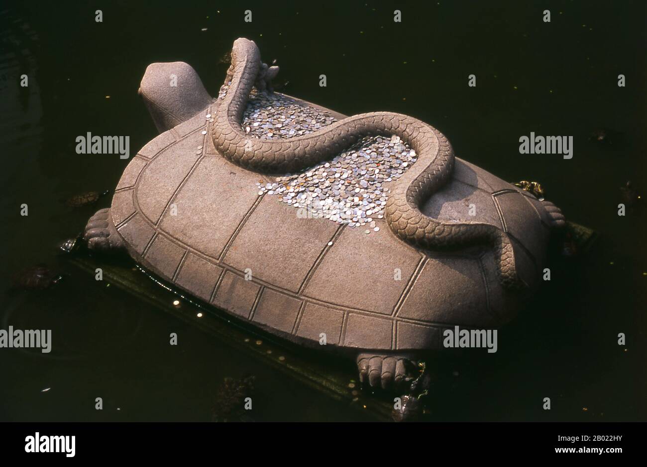 Snake turtle china hi-res stock photography and images - Alamy