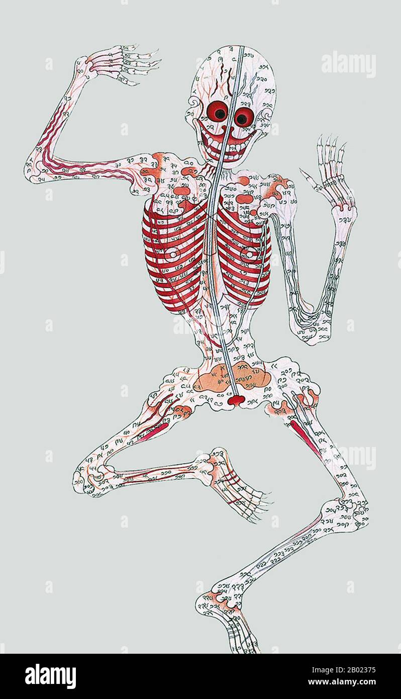 Acupuncture drawing hi-res stock photography and images - Alamy