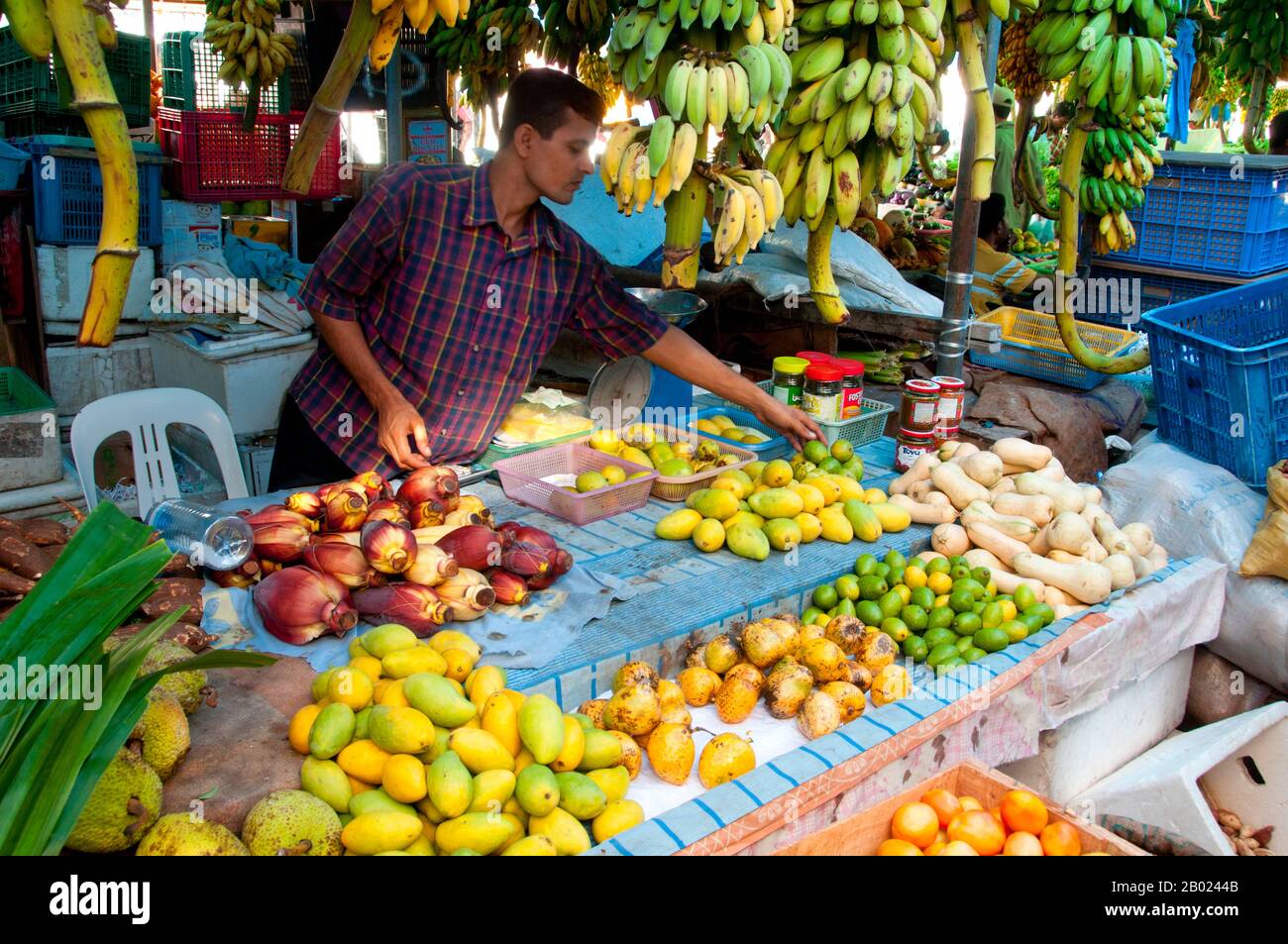 Mango seller history hi-res stock photography and images - Alamy