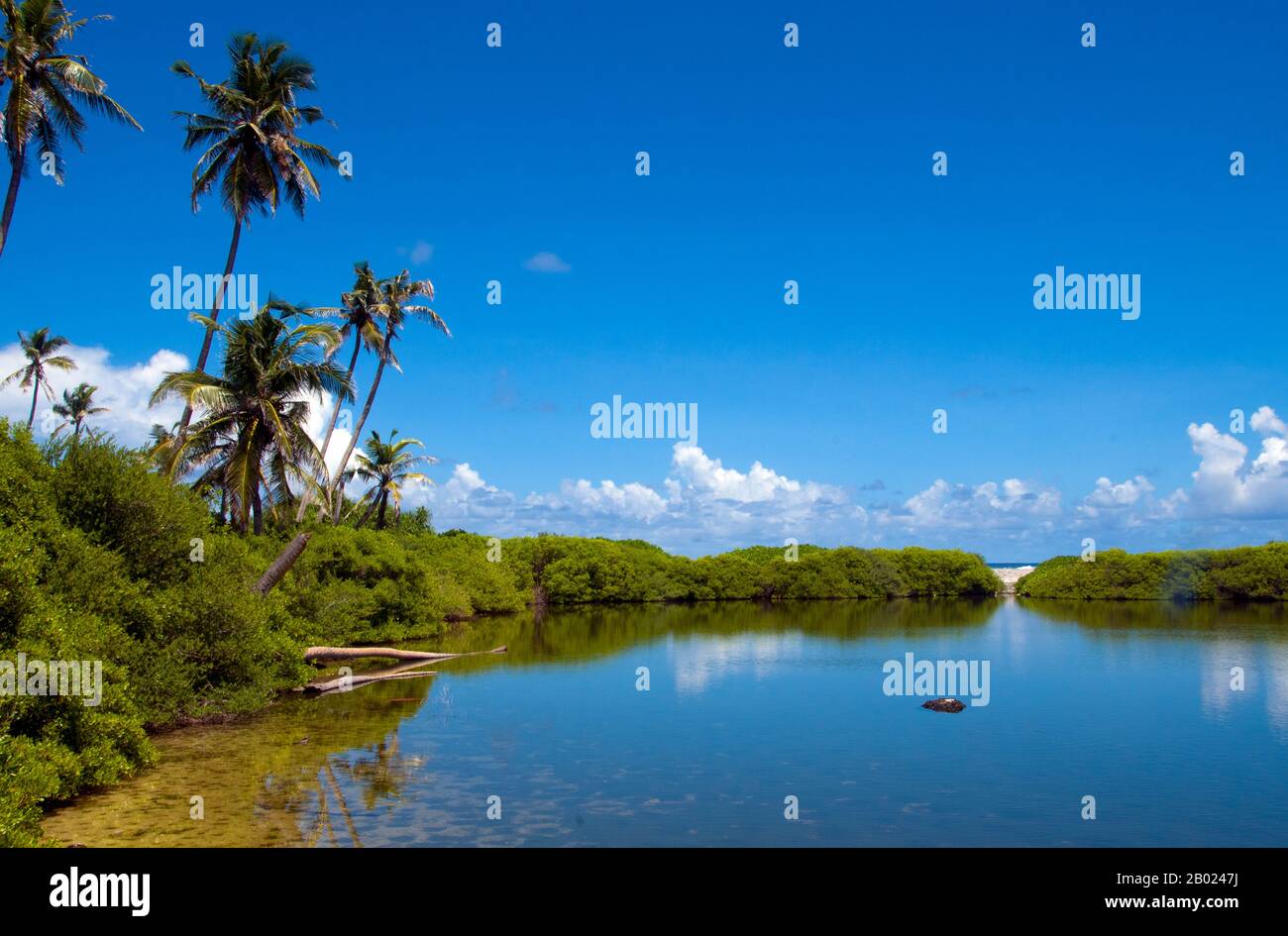 Fen muli island hi-res stock photography and images - Alamy