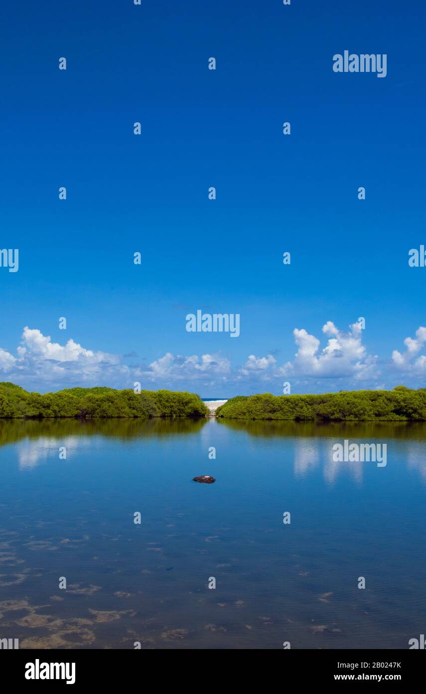 Maldives: An inland freshwater lake surrounded by mangroves (in the ...