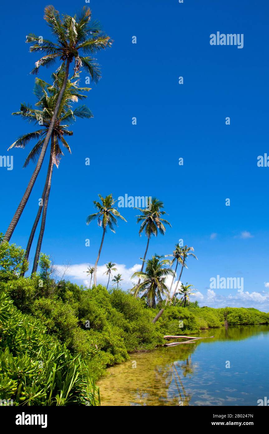 Maldives: An inland freshwater lake, Fen Muli Island, Addu Atoll (Seenu ...