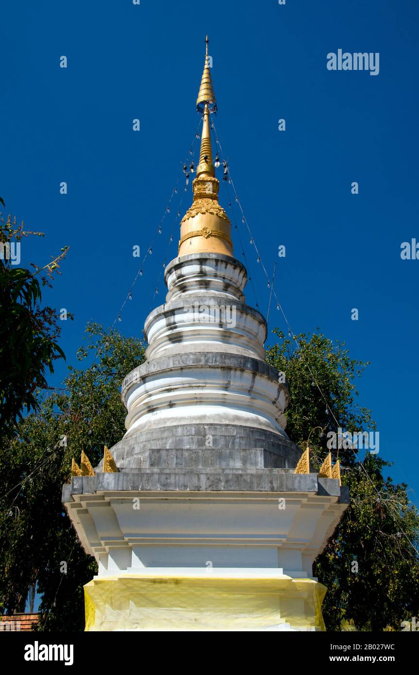 Etiolated hi-res stock photography and images - Alamy